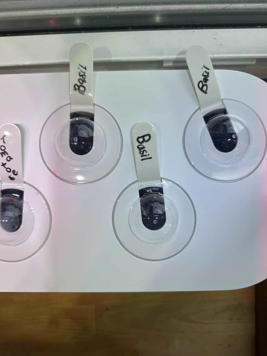 Click & Grow Review (2026): Is the Smart Garden 9 Worth it? - Nourished ...